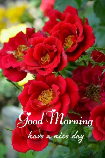 Korean Language - An online English story written by Tiya Sinha ...