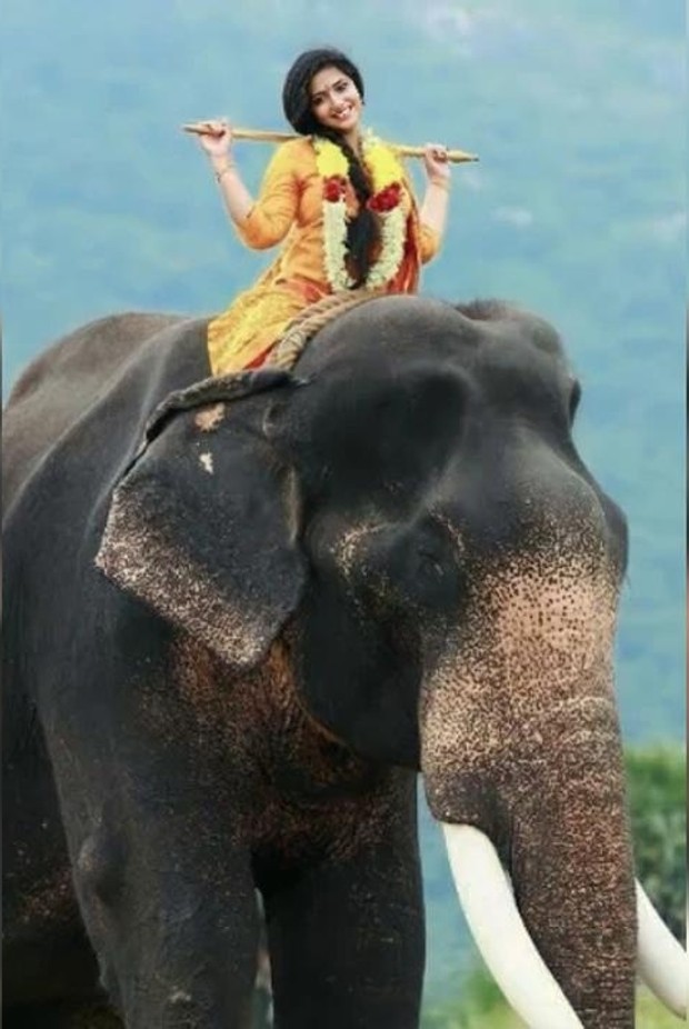 Anackarante penn bhagam 1 - An online Malayalam story written by Vineetha Anil | Pratilipi.com